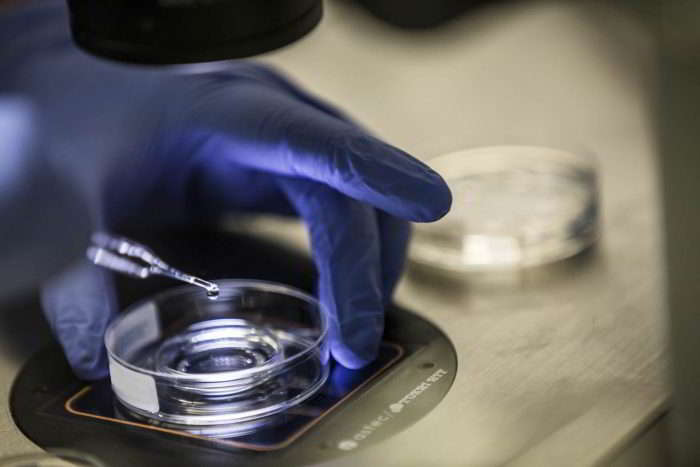 Inseminação artificial - Tratamento de fertilidade IVI